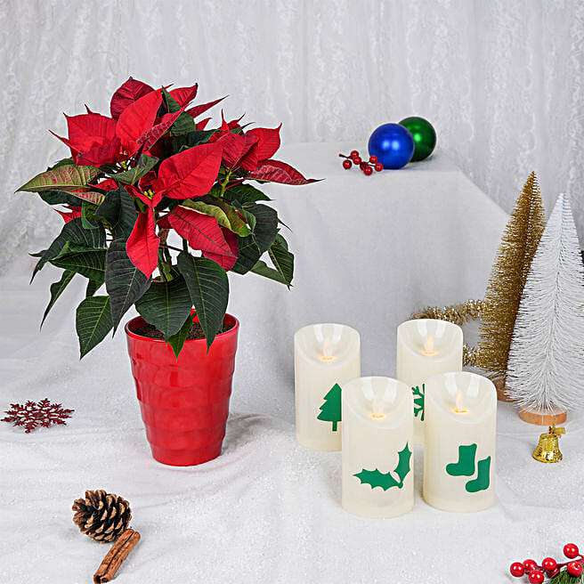 Poinsettia with LED Candles uae | Gift Poinsettia with LED Candles- FNP