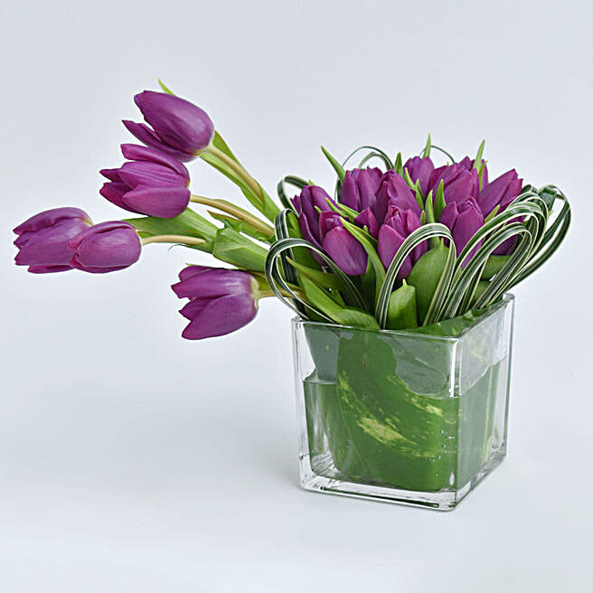 Entwine Tulip uae | Gift Entwine Tulip- FNP