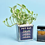 Pot Dad Plant and Perfume Combo uae | Gift Pot Dad Plant and Perfume ...