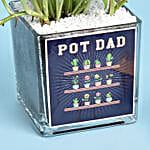 Pot Dad Plant and Perfume Combo uae | Gift Pot Dad Plant and Perfume ...