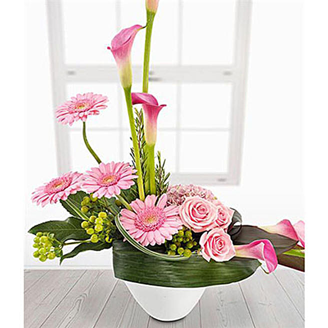 Admirable Beauty uk | Gift Admirable Beauty- FNP