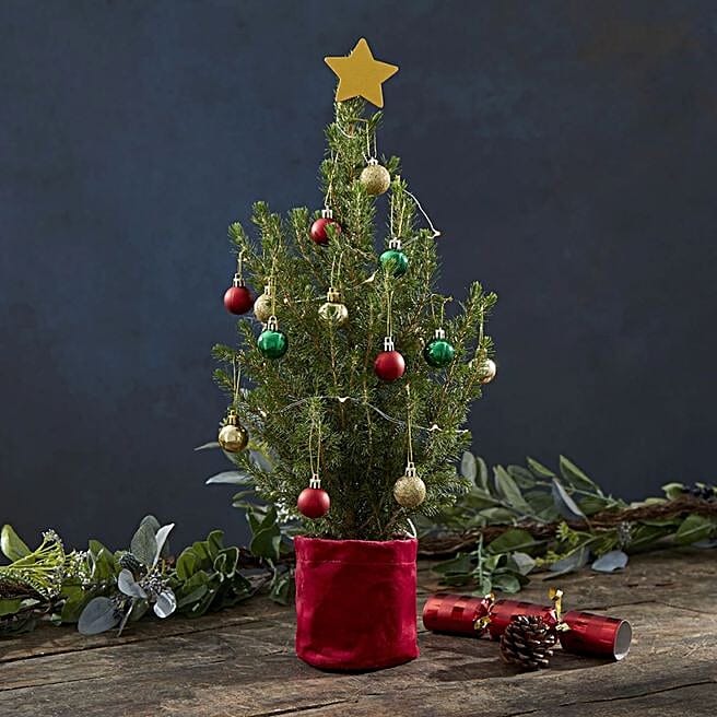 Letterbox Golden And Red Christmas Tree uk | Gift Letterbox Golden And ...