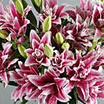 Lily Love uk | Gift Lily Love- FNP