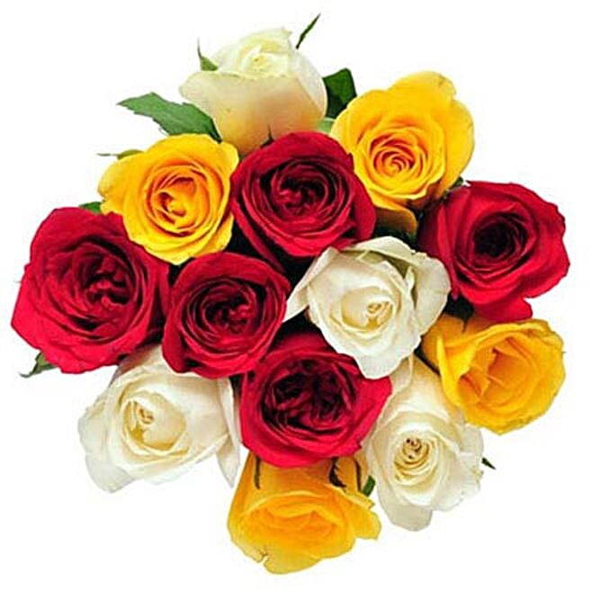 12 Mix Color Roses usa | Gift 12 Mix Color Roses- FNP