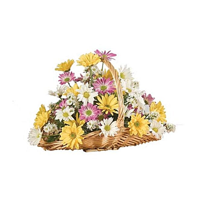 A Daisy A Day usa | Gift A Daisy A Day- FNP
