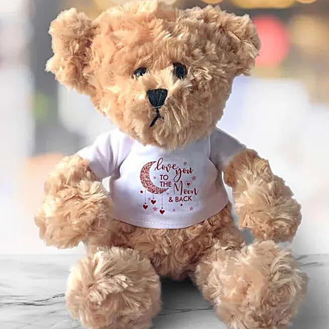 Moon and Back Stuffed Bear usa | Gift Moon and Back Stuffed Bear- FNP
