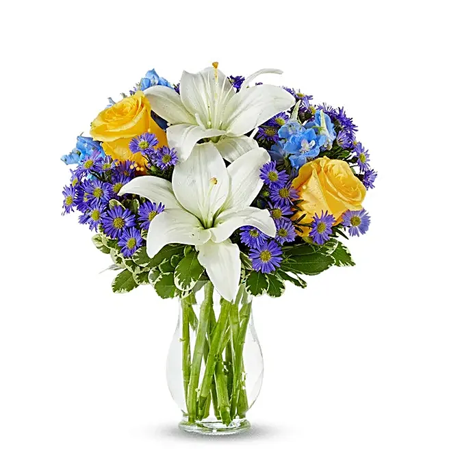 Blue Skies & Sunshine usa | Gift Blue Skies & Sunshine- FNP