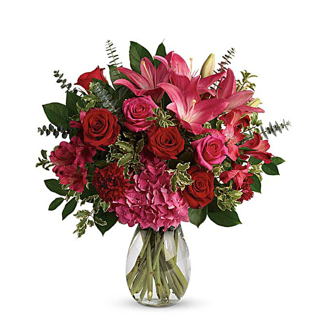 Pink Splendor usa | Gift Pink Splendor- FNP