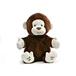 Clappy Monkey 12 Inches usa | Gift Clappy Monkey 12 Inches- FNP
