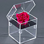 Pink Forever Rose In Acrylic Box vietnam | Gift Pink Forever Rose In ...