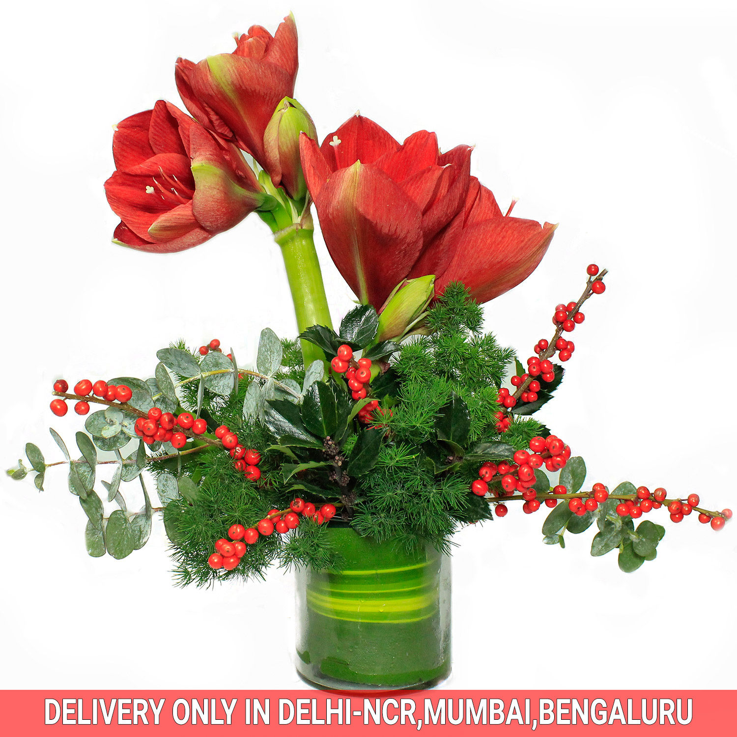 Amaryllis Flower Delivery | Best Flower Site