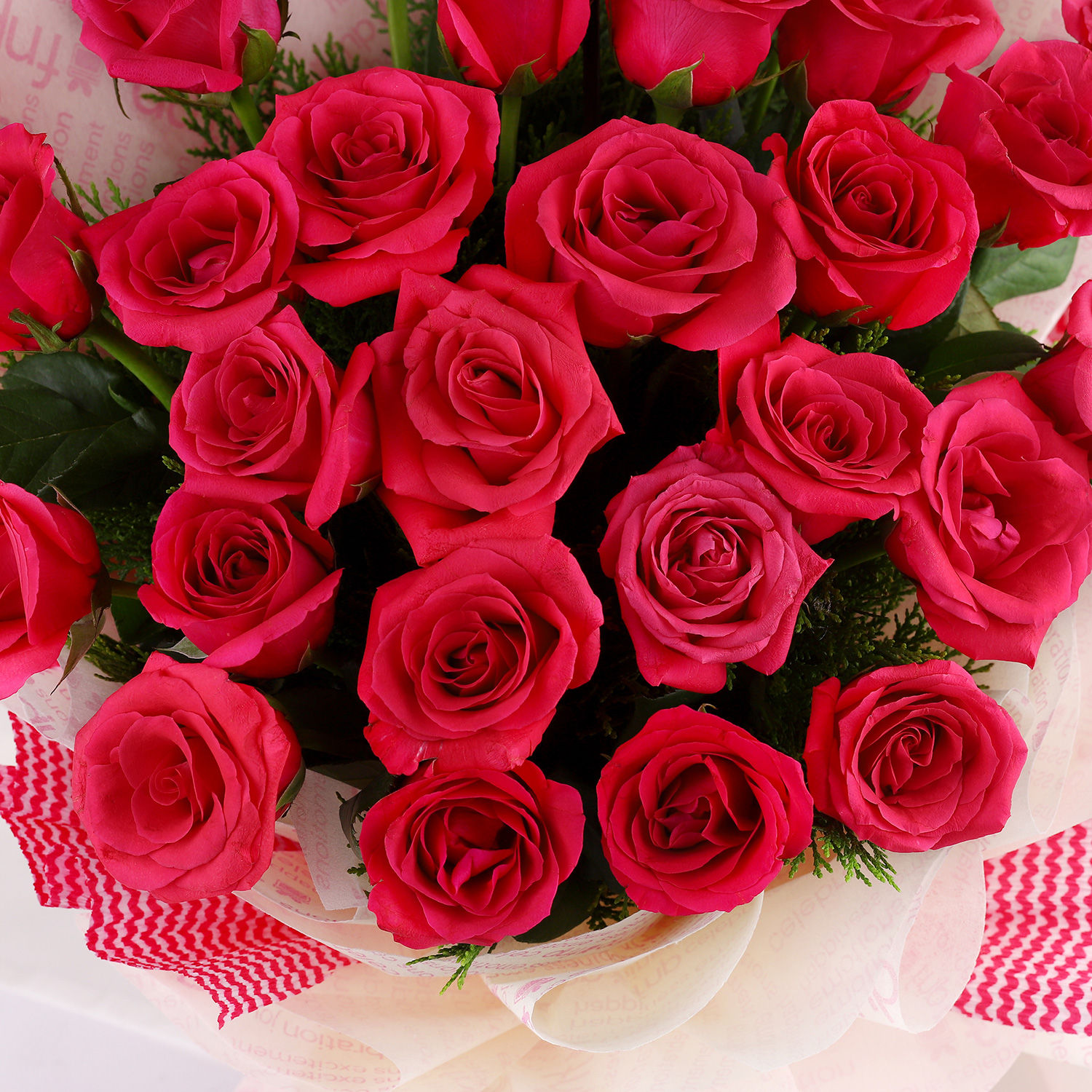 Cute Pink Rose Flowers